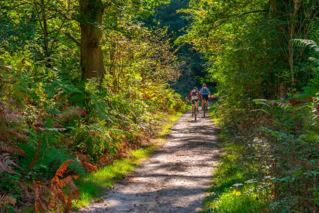 Les pistes cyclables de la Forêt de Rambouillet - Destination Yvelines